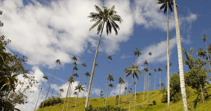 7 reasons why you should travel to Colombia right now - Learn More Than ...